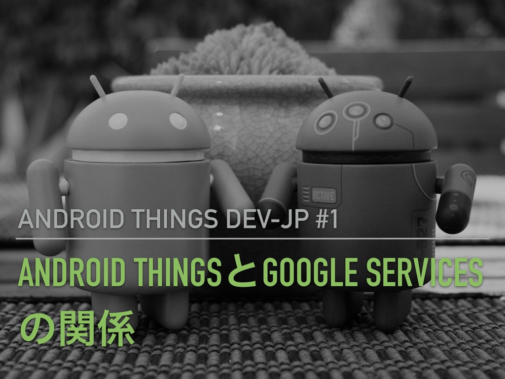 Android Things Dev-jp #1 - Media List - connpass